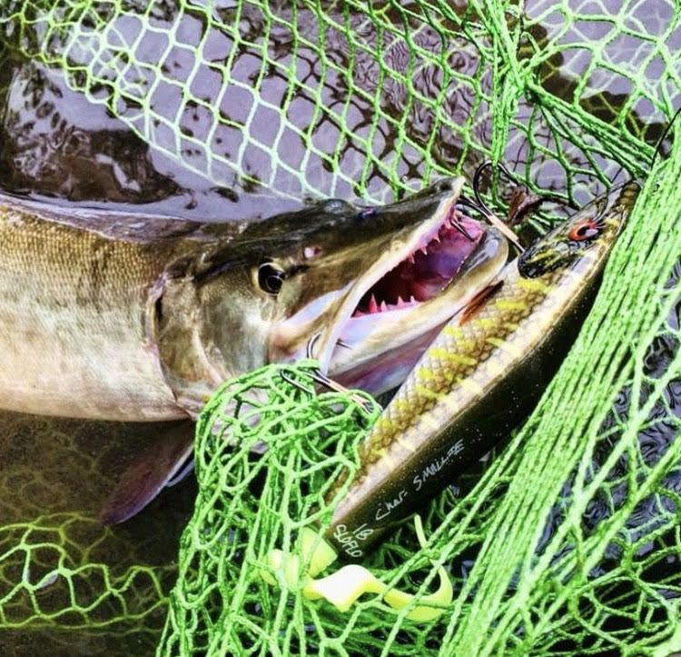 Solo Slimer Net | F8 | RS Nets USA – FIGUREIGHT Musky Gear
