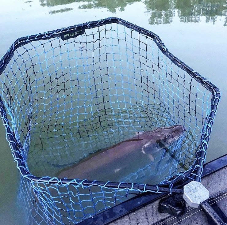 Solo Slimer Net | F8 | RS Nets USA – FIGUREIGHT Musky Gear